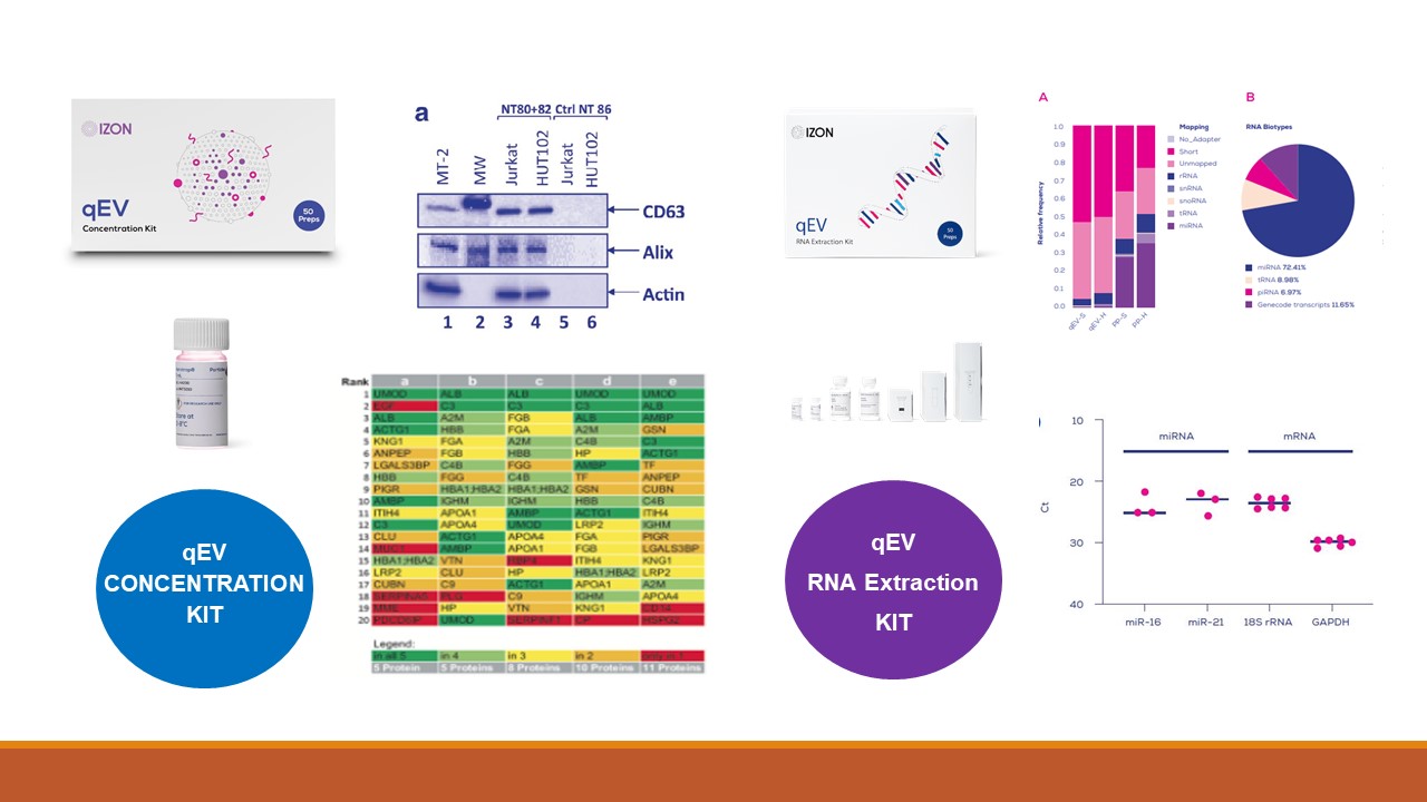 高純度自動化的qEV外泌體尺寸排阻色譜分離管柱｜諾曼達科技